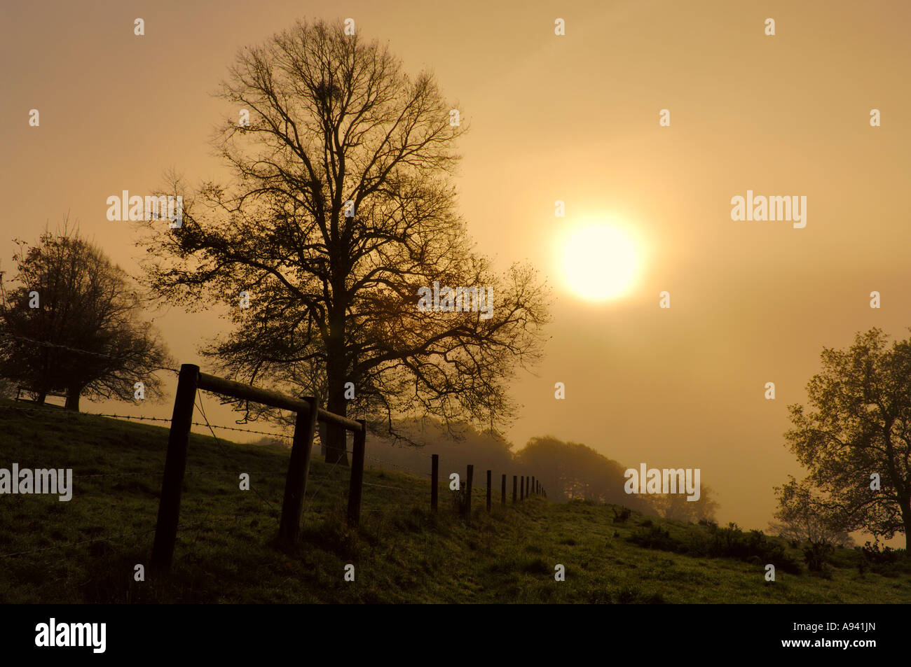 Autumn morning mist over farmland in Somerset, England Stock Photo - Alamy