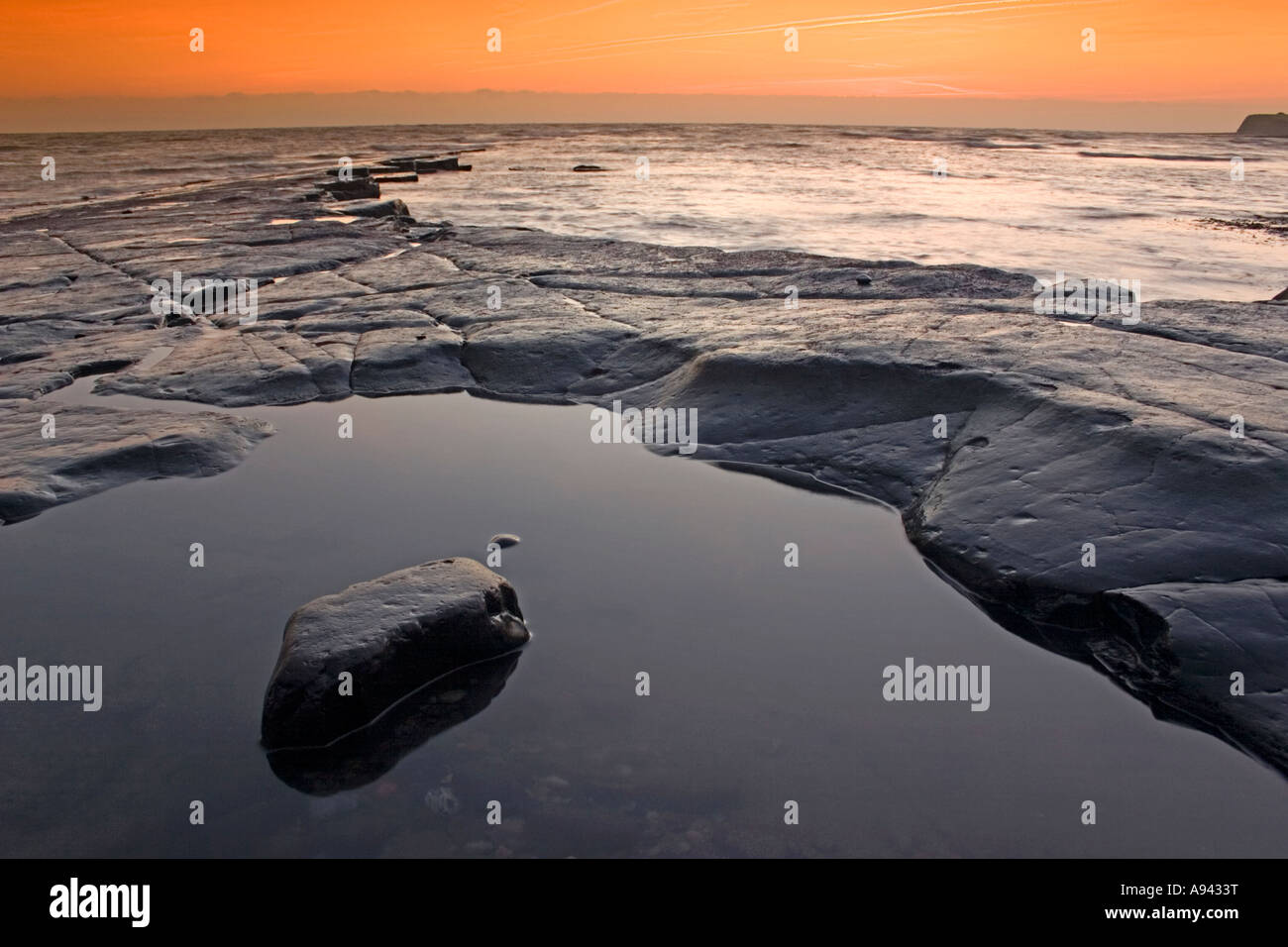 Rock pool at Kimmeridge Bay, Dorset, England Stock Photo - Alamy