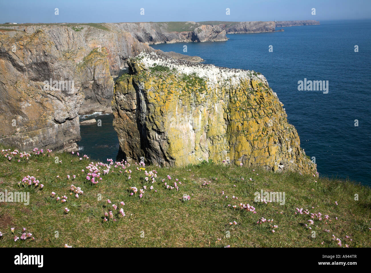 Stack stacks coastal scenery rocks limestone coast stack rocks hi-res ...