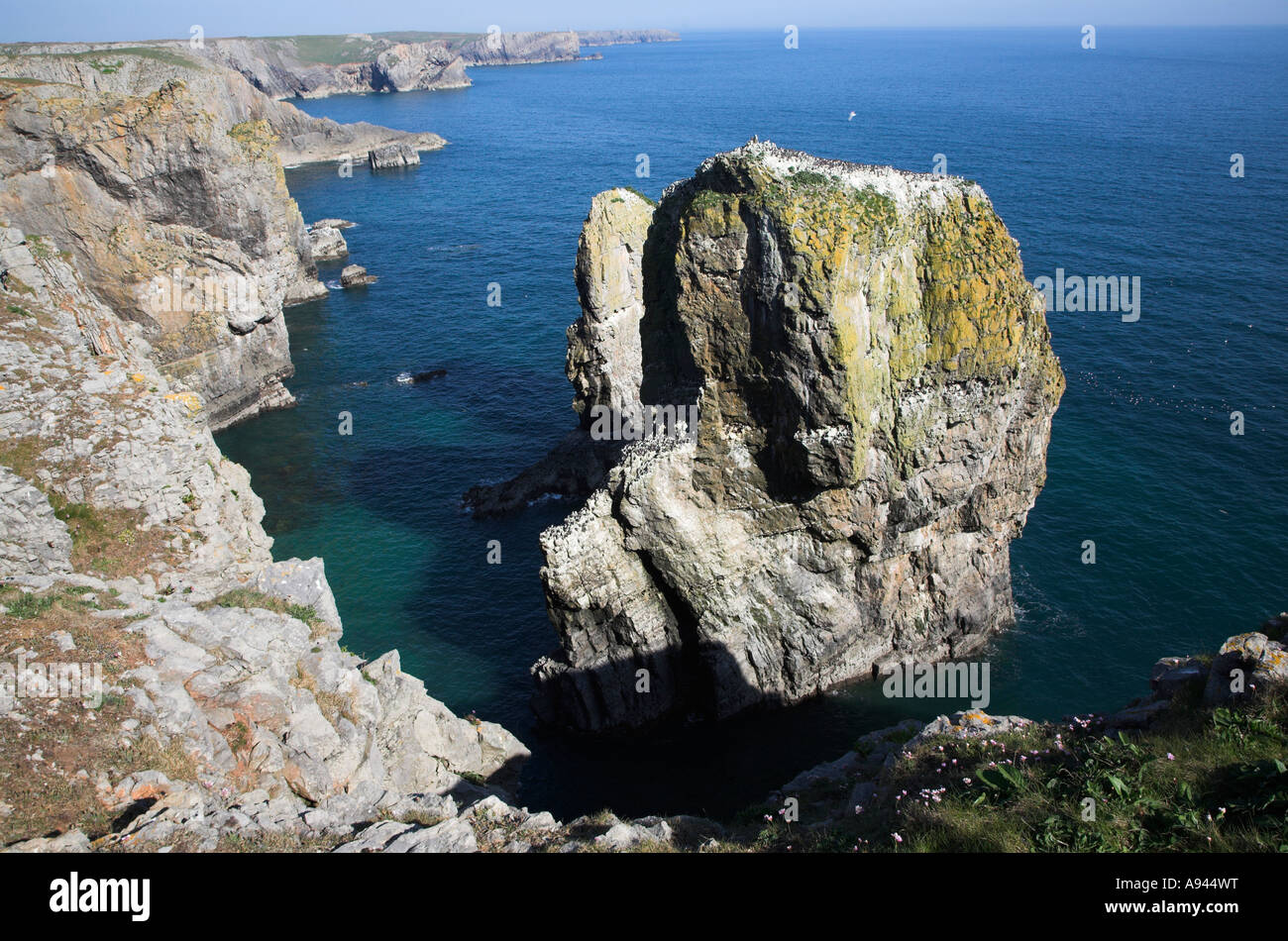 Stack Rocks, Castlemartin looking to St Govan's Head, Pembrokeshire ...