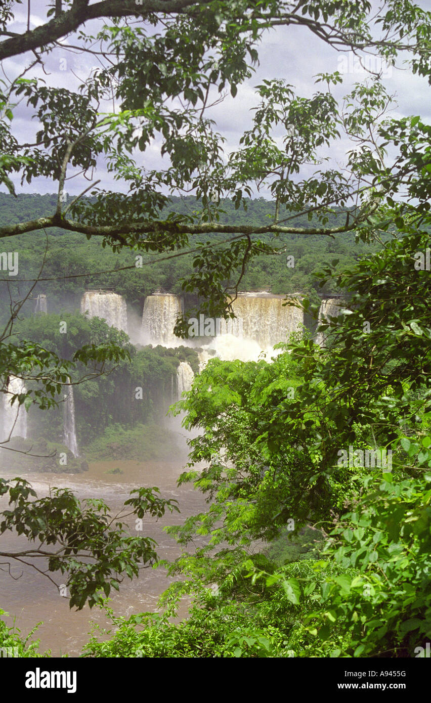 Iguazu falls viewed through trees from the Brazil side Parana Stock ...