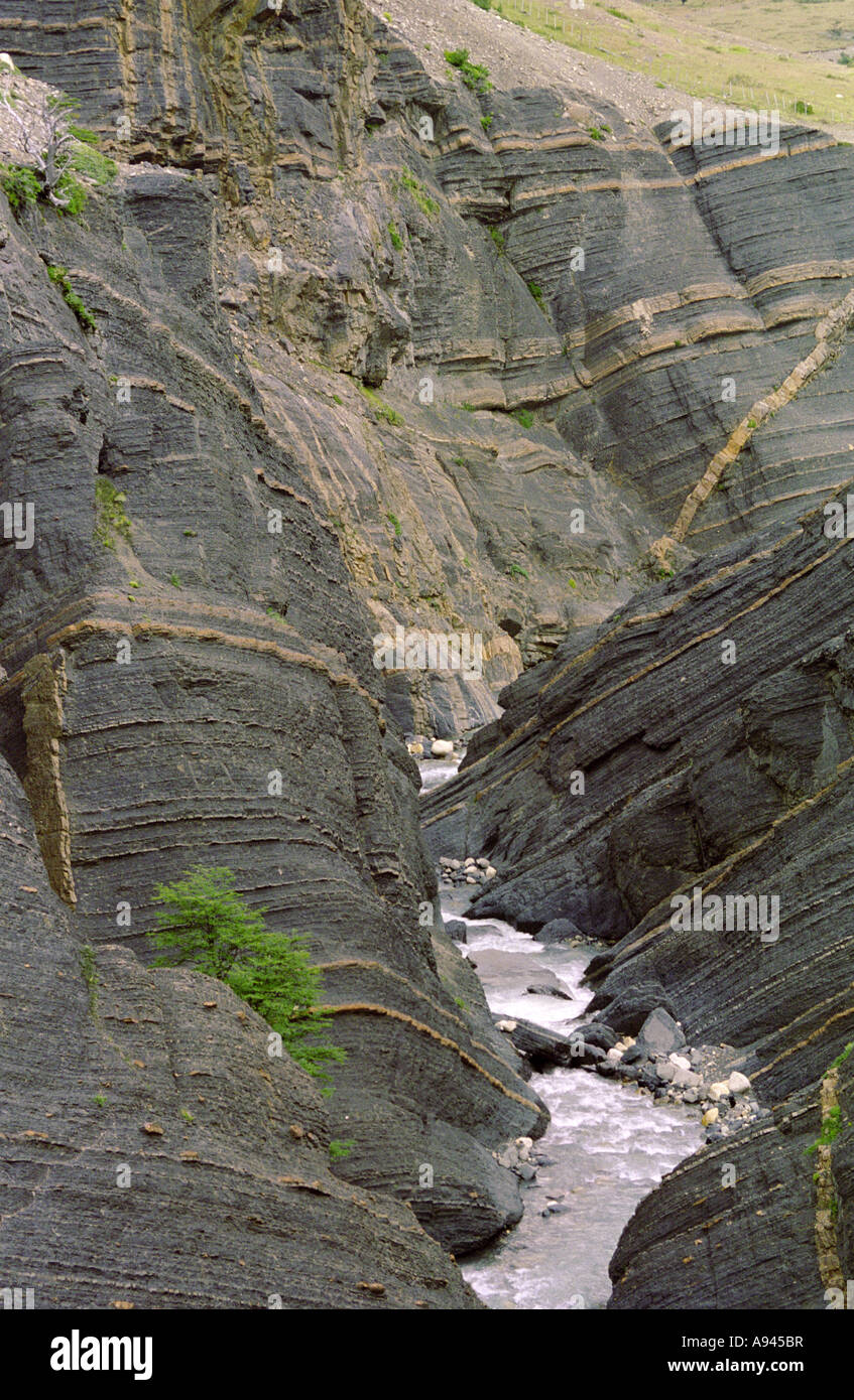 stream eroding through sedimentary area national park torres del paine ...