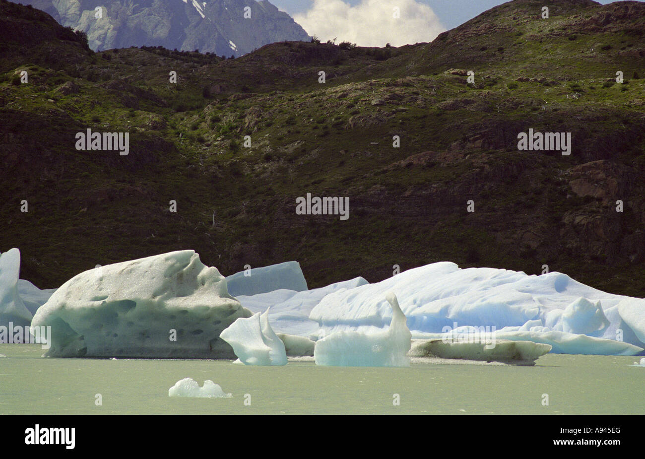 floating icebergs in the water at the Grey Glacier Patagonia Torres Del ...