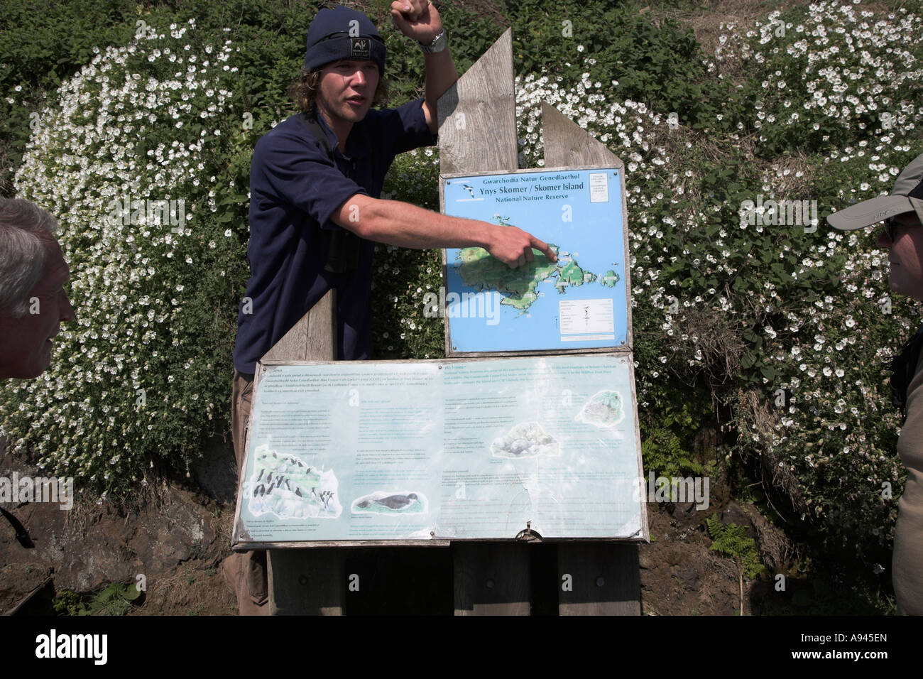 Assistant warden with map Skomer Island, Pembrokeshire coast national ...