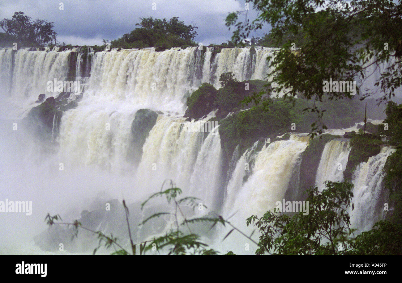 Top of Iguazu falls viewed through trees from the Brazil side Parana ...