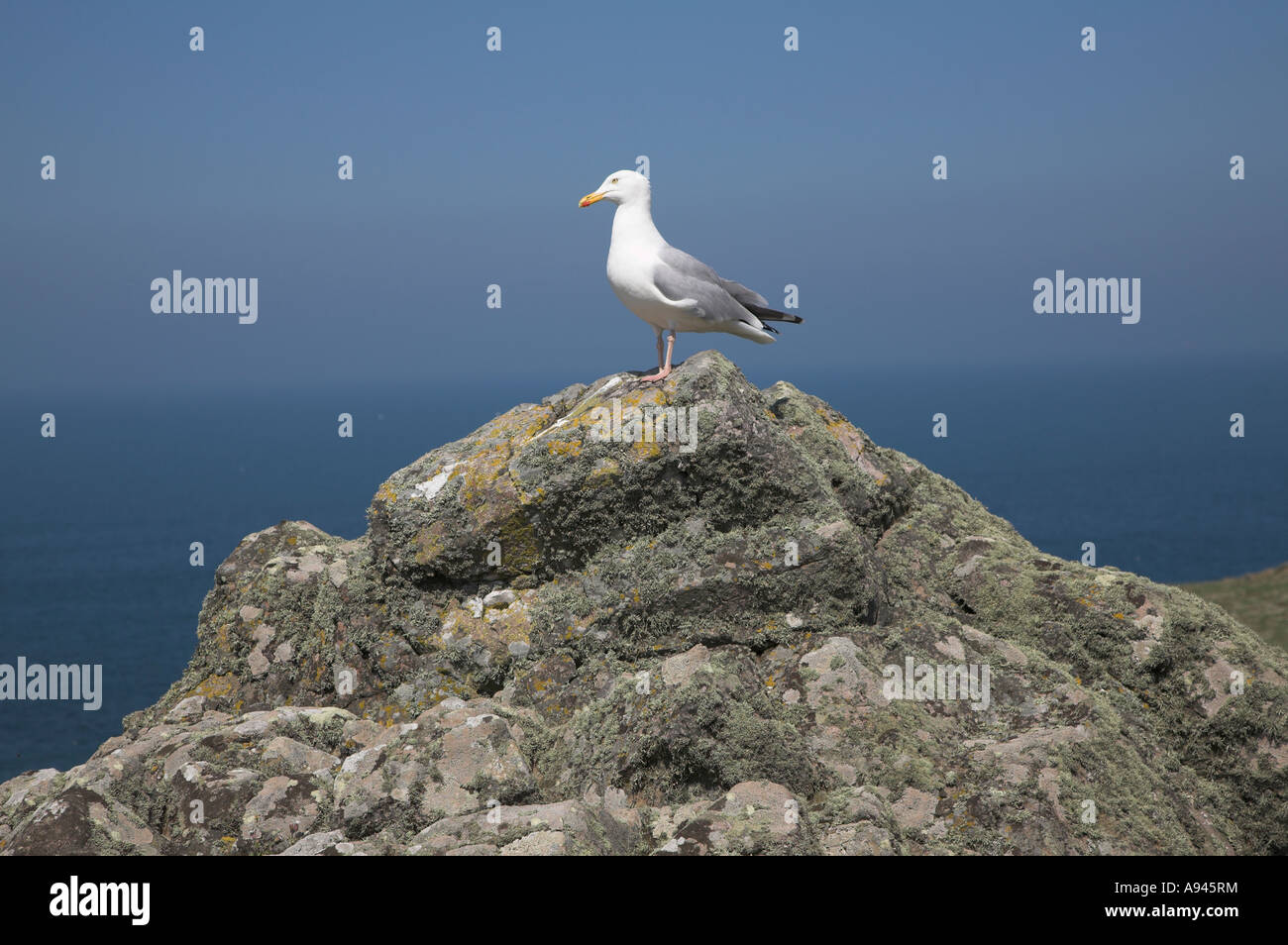 Welsh coas hi-res stock photography and images - Alamy