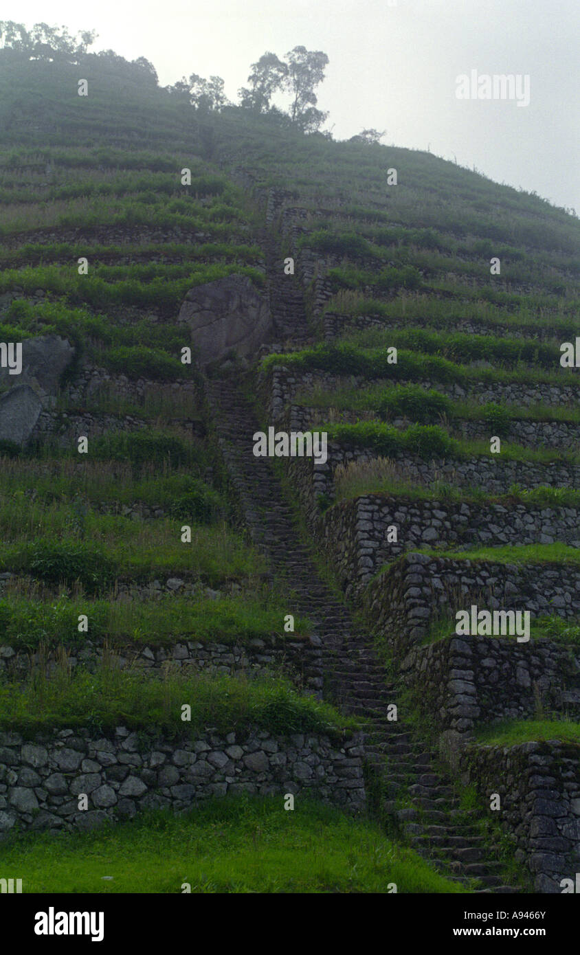 mist covering the terraces at machu picchu peru Stock Photo - Alamy