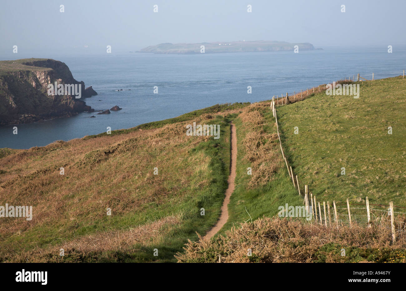 Coastal path view to Skokholm Island, Marloes peninsula, Pembrokeshire ...
