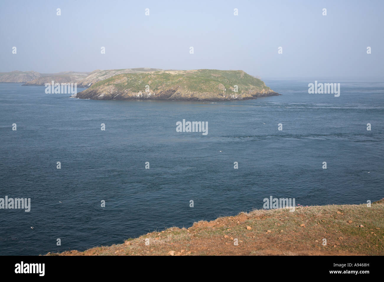Midland isle and distant skomer island hi-res stock photography and ...