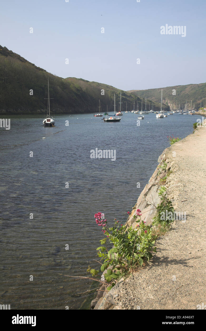 Solva, Pembrokeshire coast national park, Wales Stock Photo - Alamy