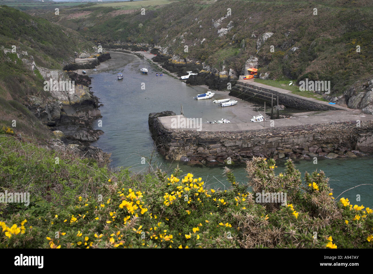 Porthclais harbour, Pembrokeshire coast national park, Wales Stock ...