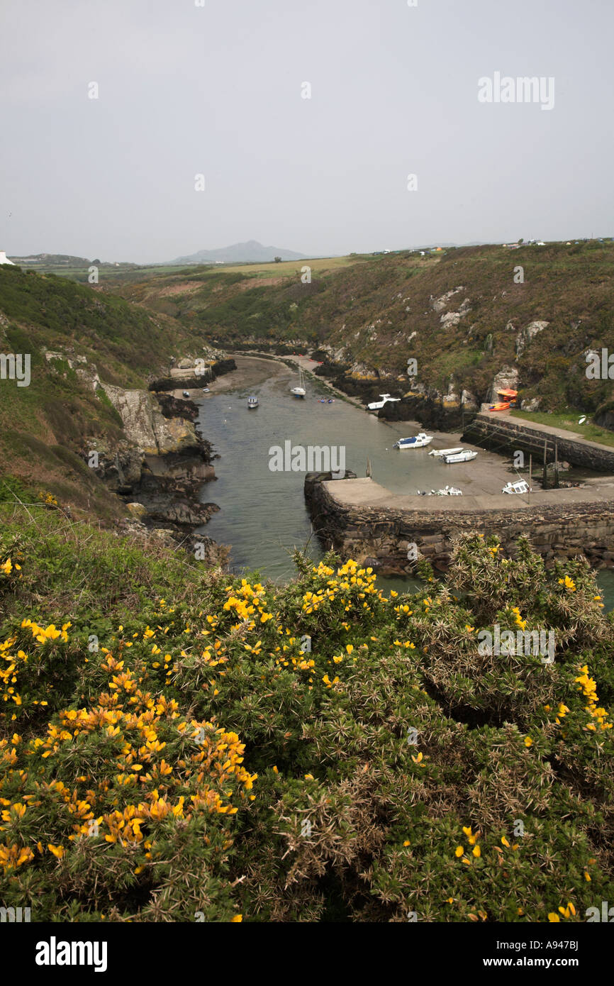 Porthclais harbour hi-res stock photography and images - Alamy