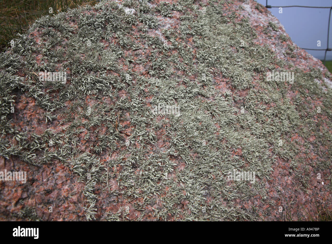 Biological weathering hi-res stock photography and images - Alamy