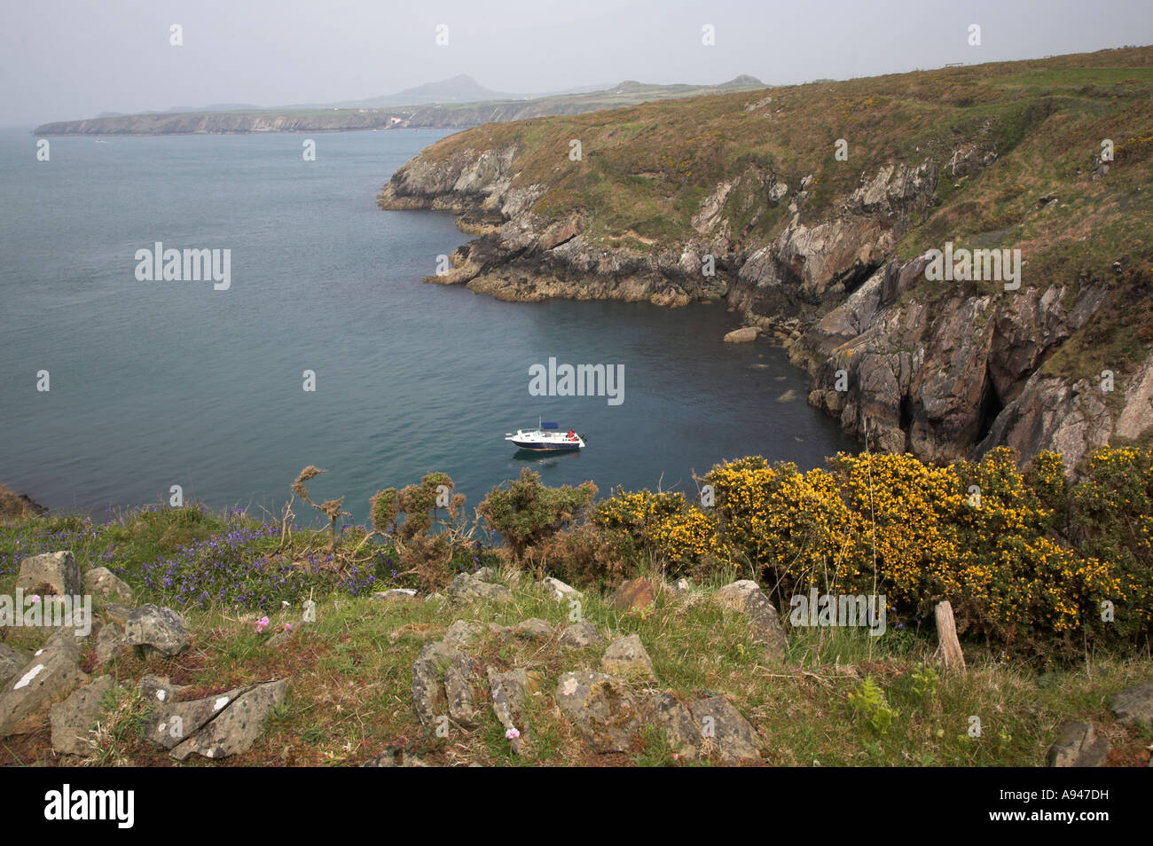 Coastal cliff scenery ramsey sound hi-res stock photography and images ...