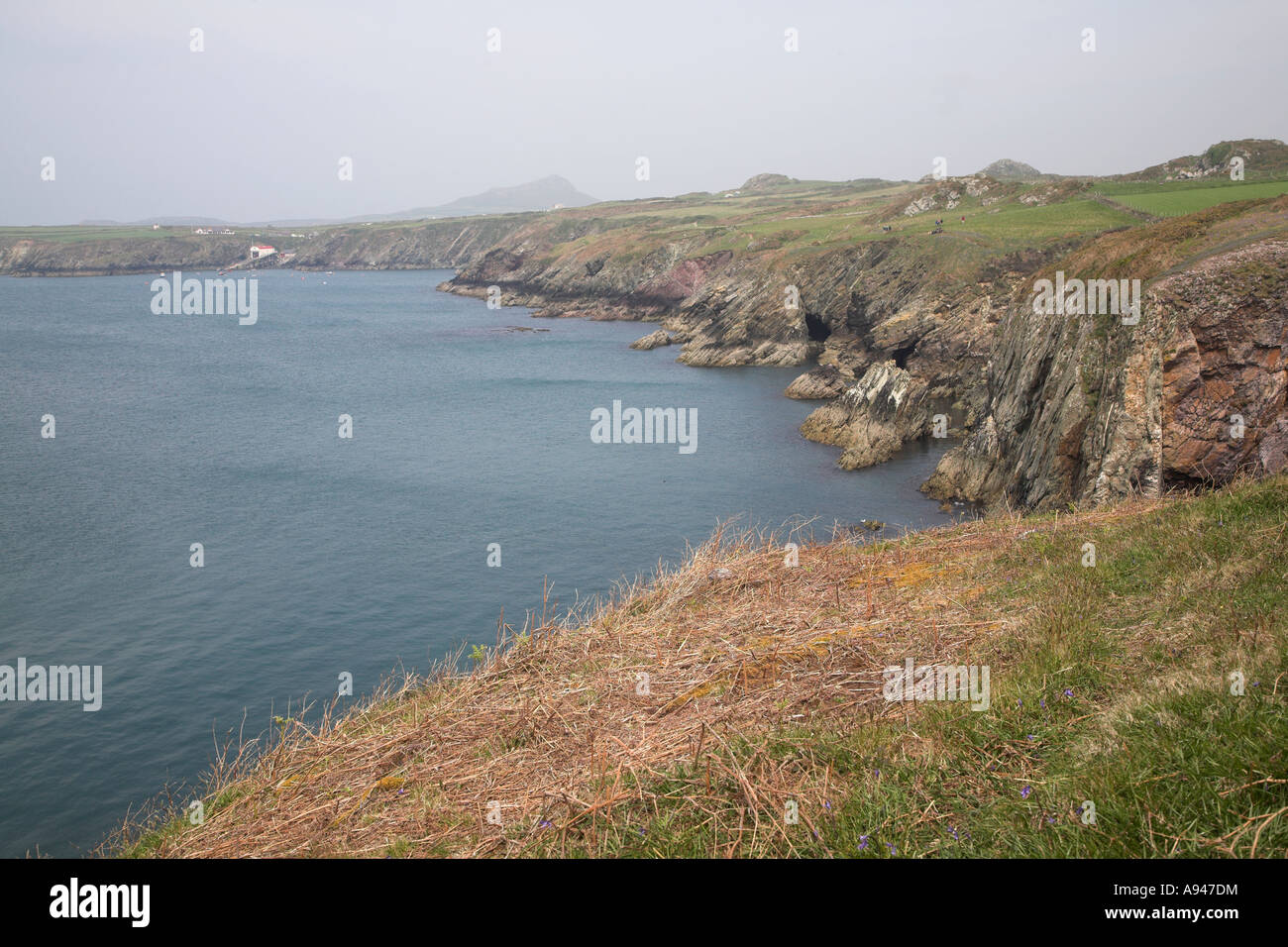Coastal cliff scenery ramsey sound hi-res stock photography and images ...