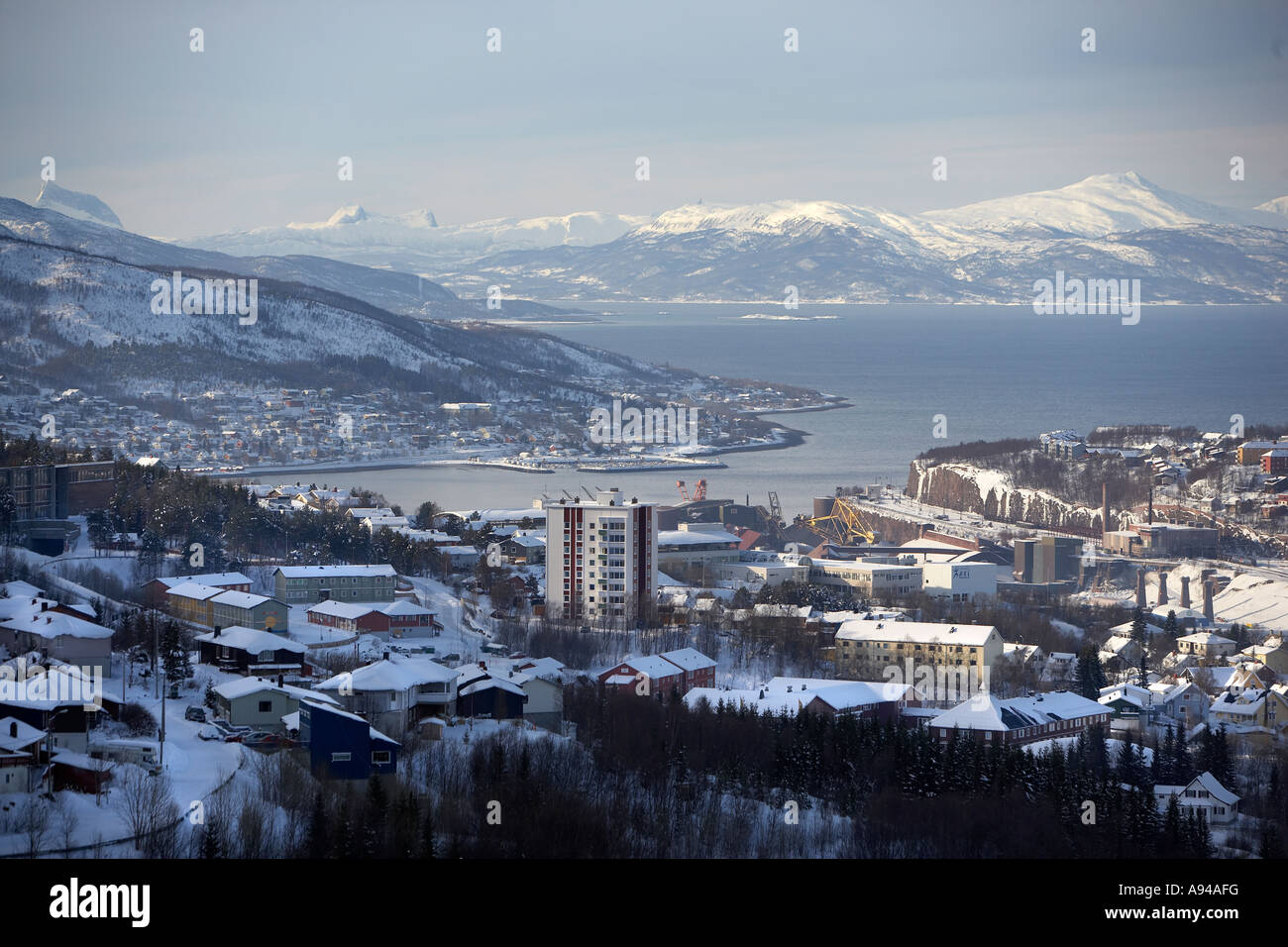 Winter, Narvik, Lapland, Norway Stock Photo: 12246483 - Alamy