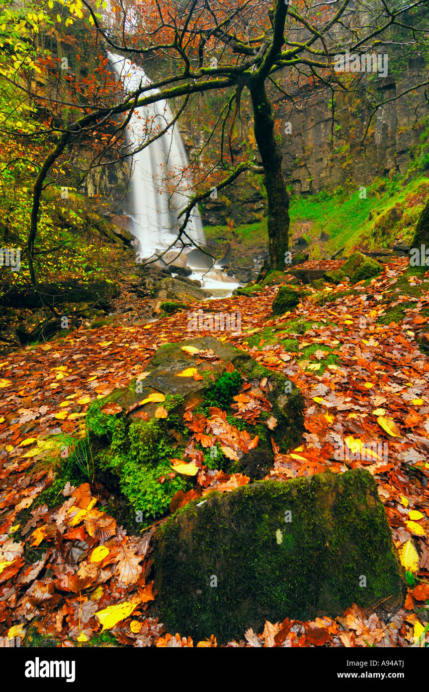 Melincourt falls hi-res stock photography and images - Alamy