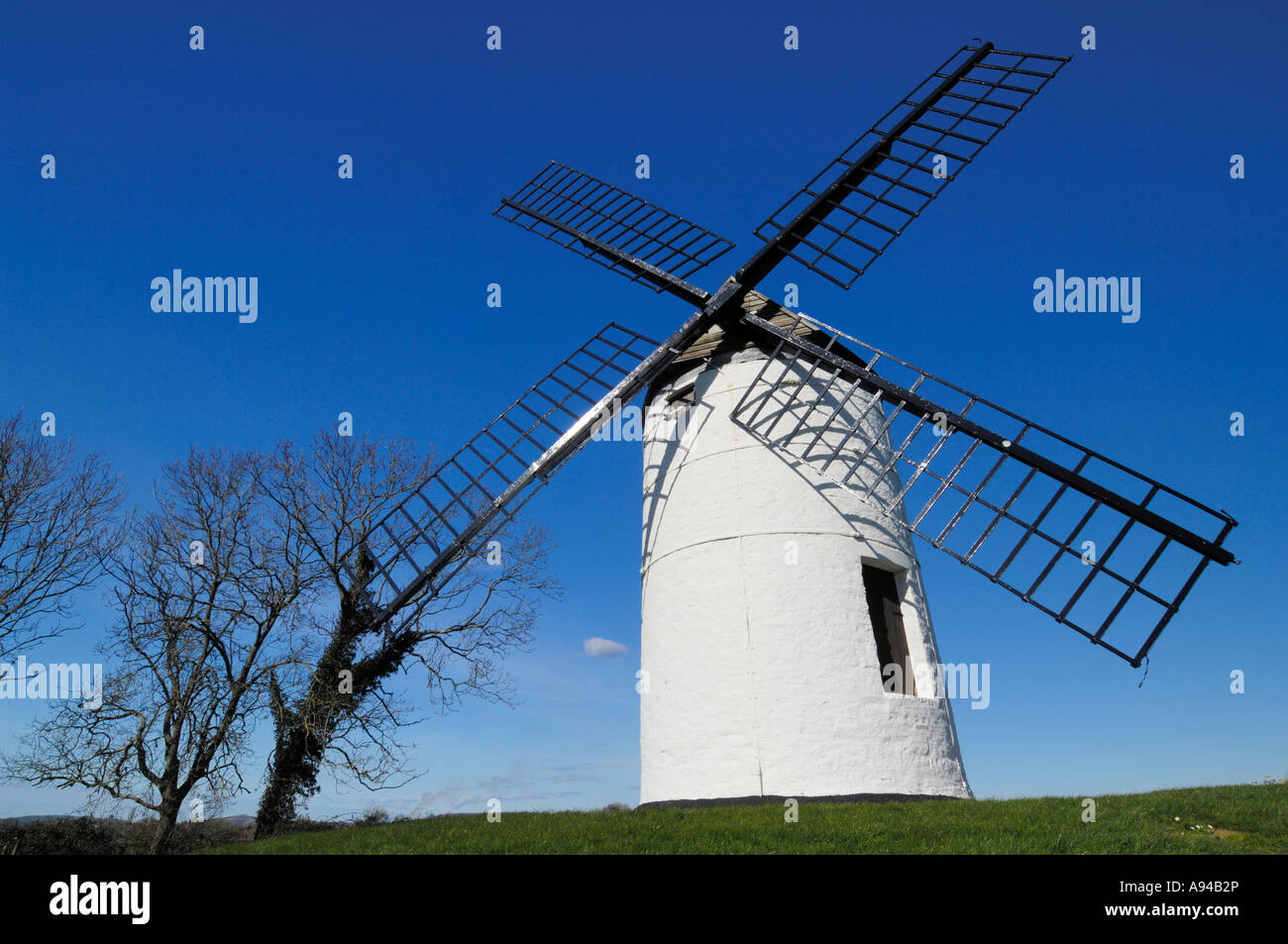 Ashton Windmill at Chapel Allerton in Somerset, England Stock Photo - Alamy