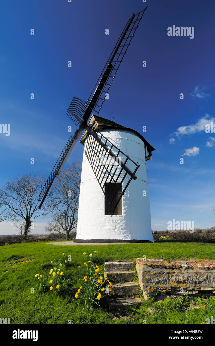 Ashton Windmill at Chapel Allerton in Somerset, England Stock Photo - Alamy