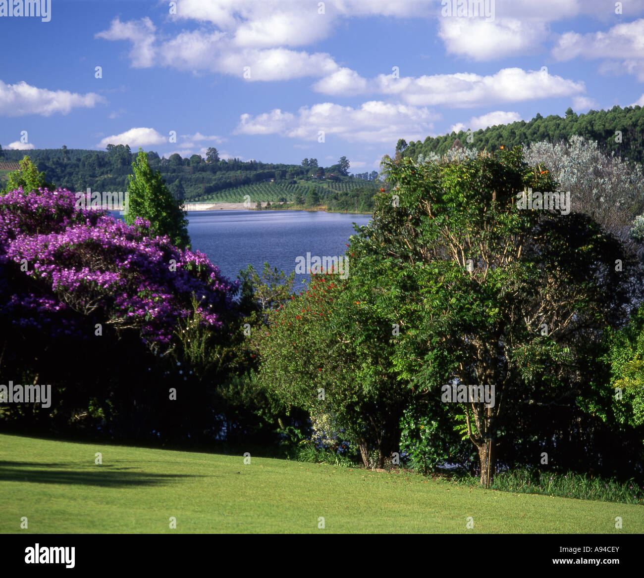 A well kept garden in Mpumalanga with a view over a dam beyond the ...