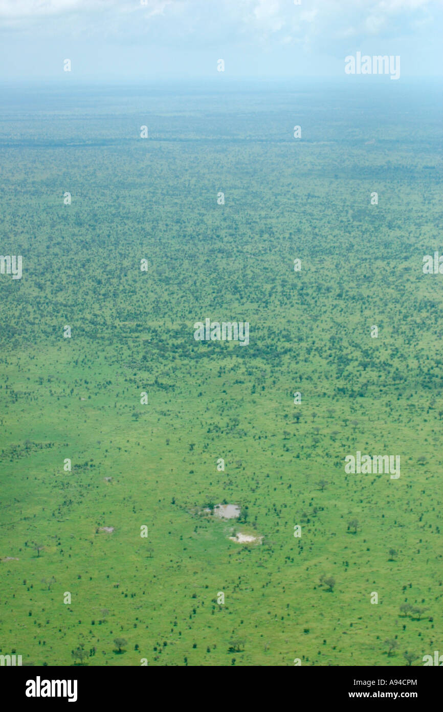 Aerial view over flat savannah bushveld area during the rainy season ...