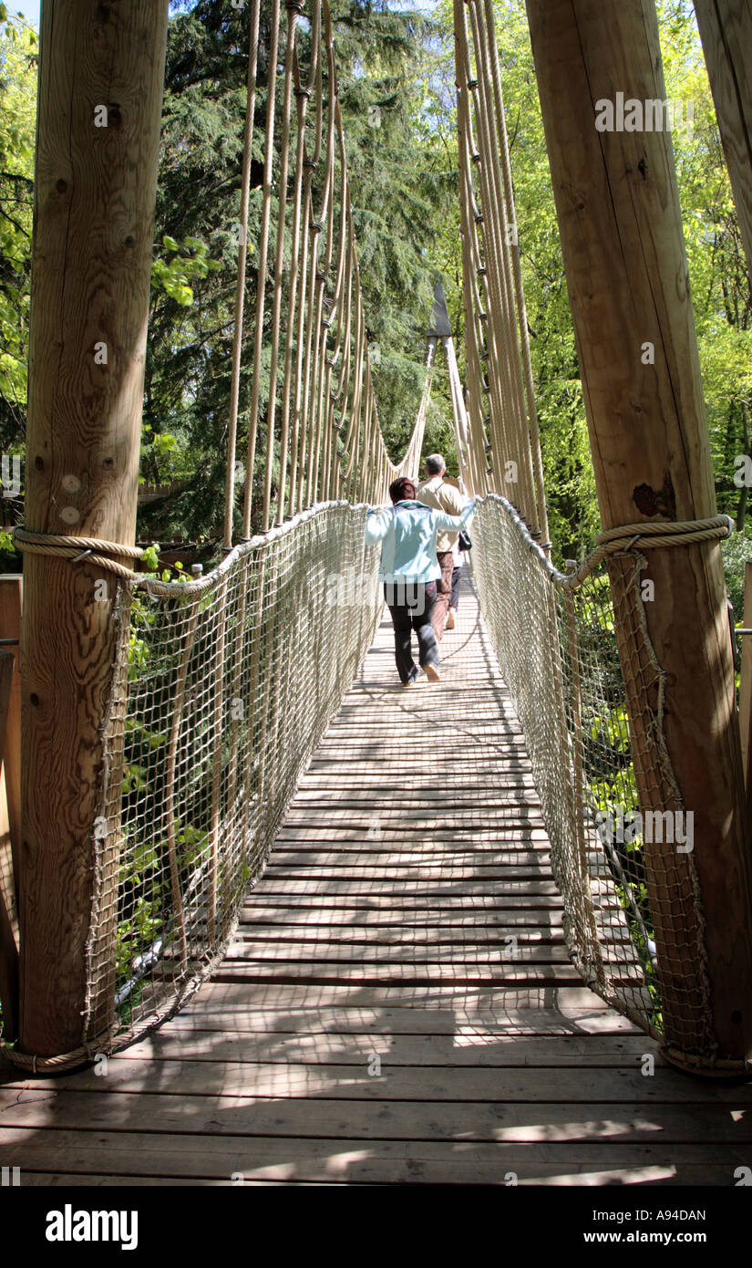 Rope bridge, Alnwick Castle gardens, Northumberland, UK, Europe Stock ...