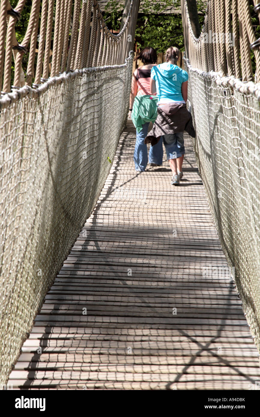 Tree ropebridge hi-res stock photography and images - Alamy