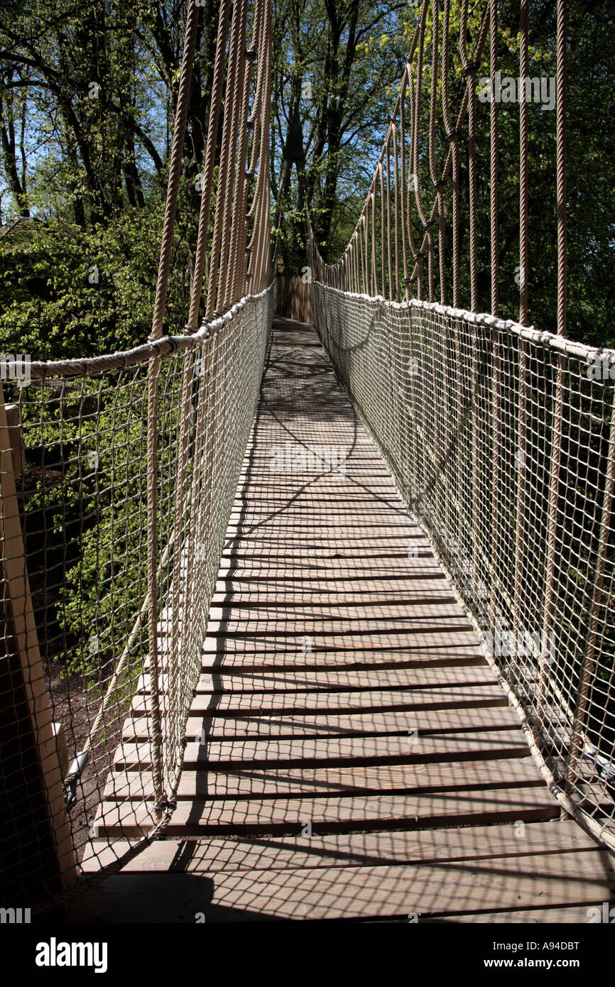 Rope bridge, Alnwick Castle gardens, Northumberland, UK, Europe Stock ...