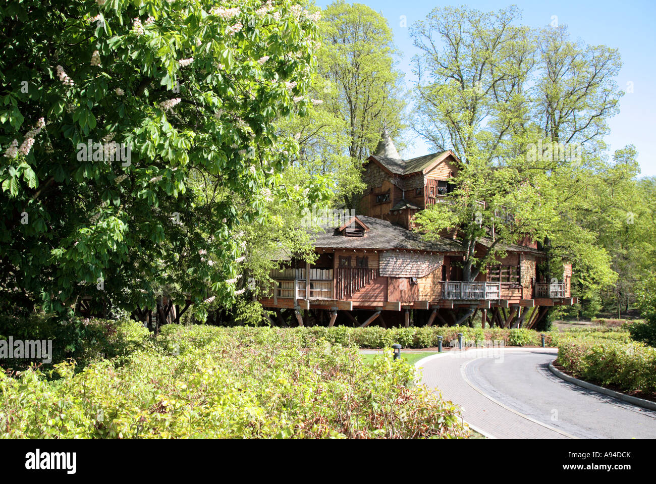 Tree house alnwick castle and gardens hi-res stock photography and ...