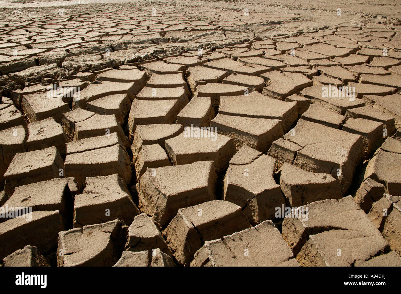 Abstract view of cracked mud surface of dry pan Etosha Namibia Stock ...