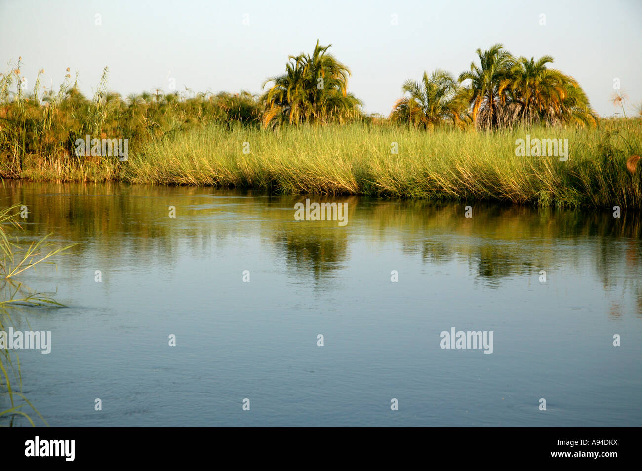 Kavango river hi-res stock photography and images - Alamy