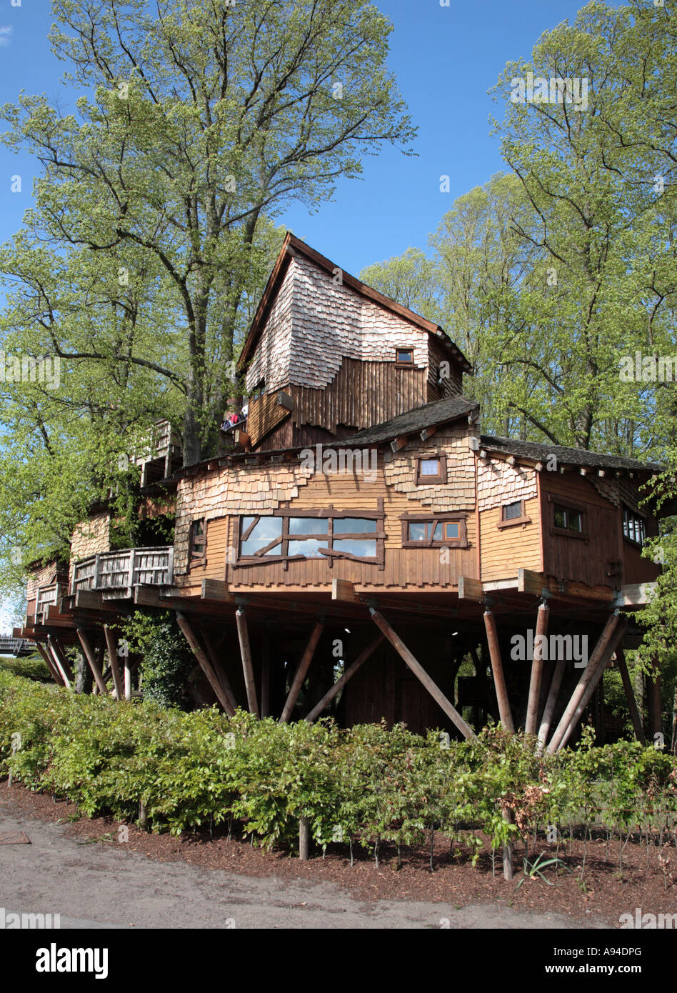 Alnwick garden treehouse hi-res stock photography and images - Alamy