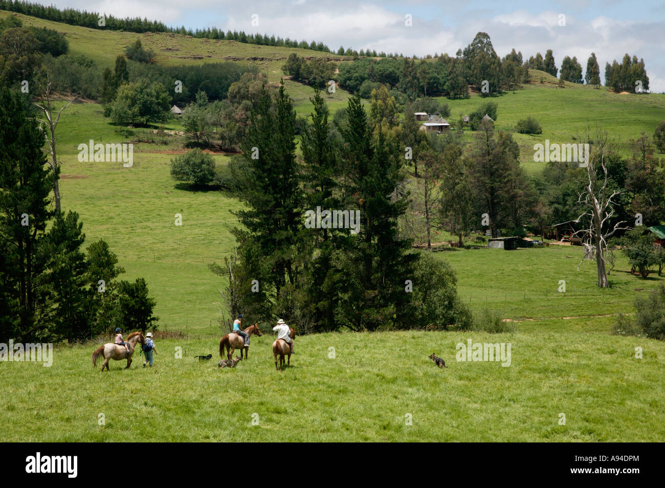 A group of three riders on horseback in a scenic countryside setting ...