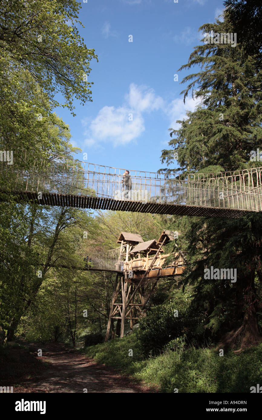 Tree House Rope bridge, Alnwick Castle, Northumberland, UK, Europe ...