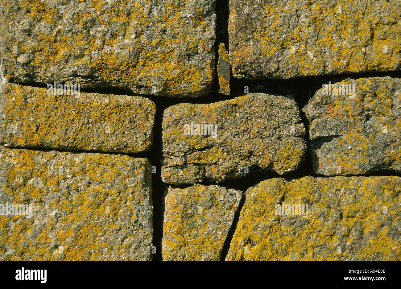 STONE WALL CORNWALL ENGLAND Europe Texture wall brick Stock Photo - Alamy