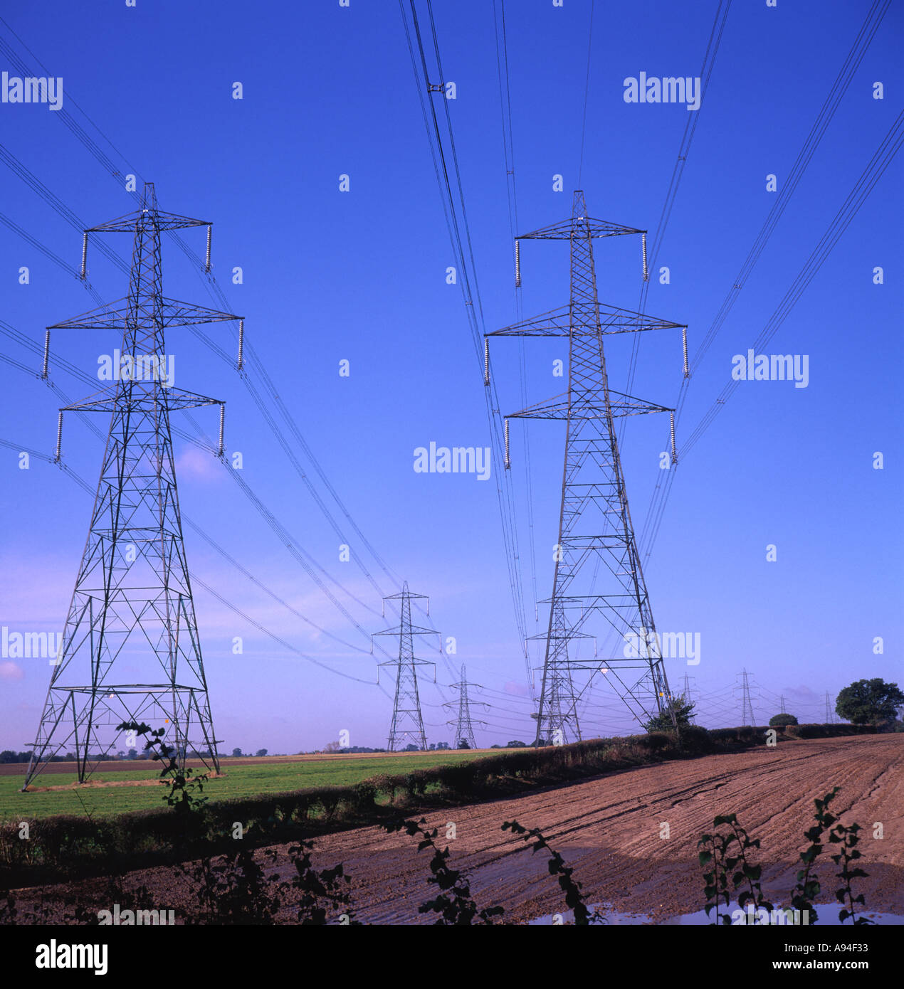 Power lines crossing countryside Suffolk England Stock Photo - Alamy