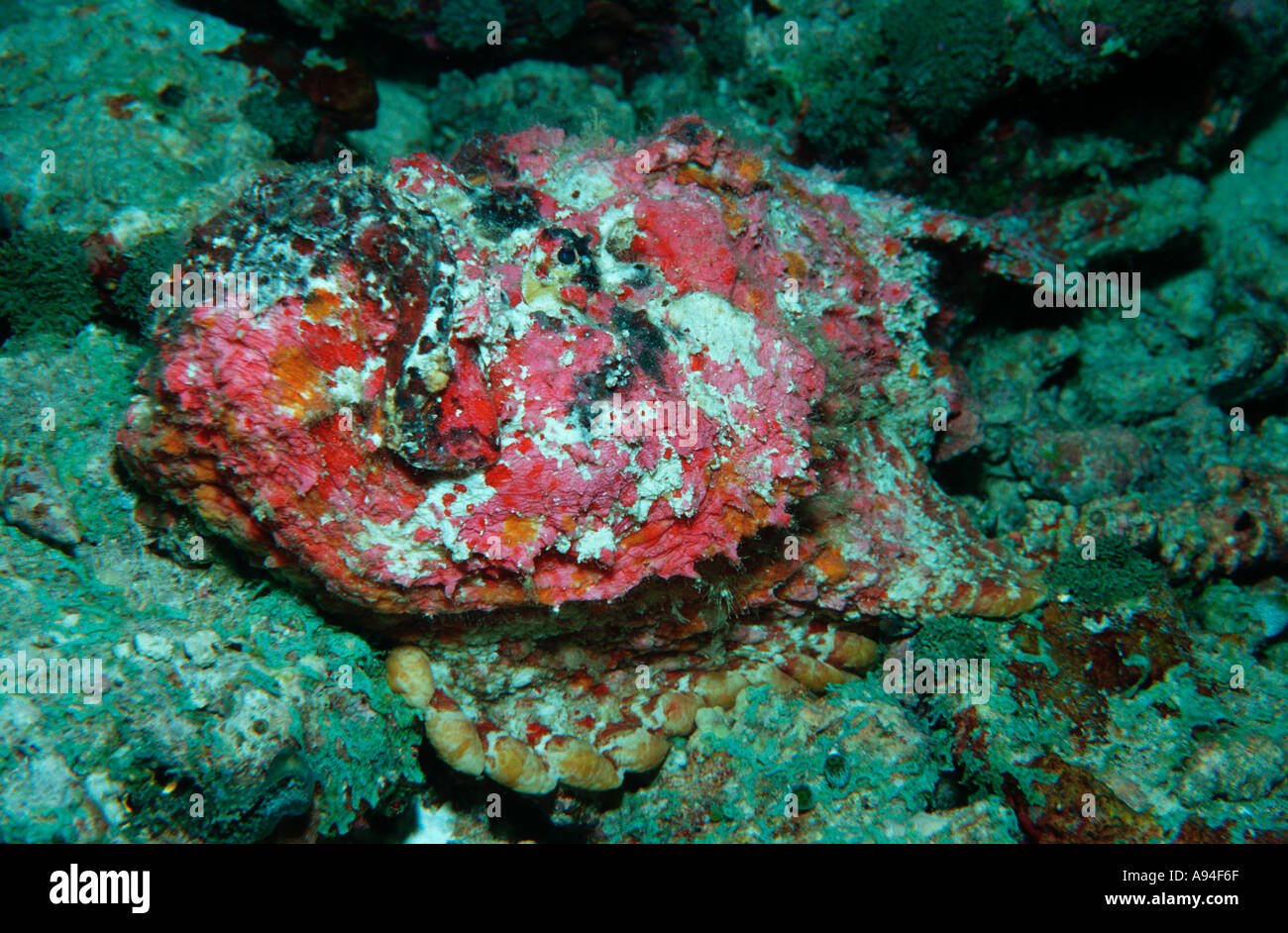 Underwater stone hi-res stock photography and images - Alamy