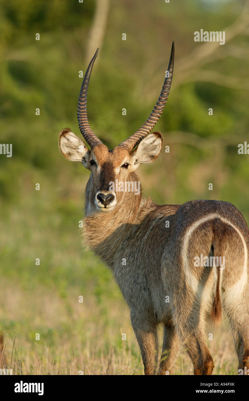 Browser circle hi-res stock photography and images - Alamy