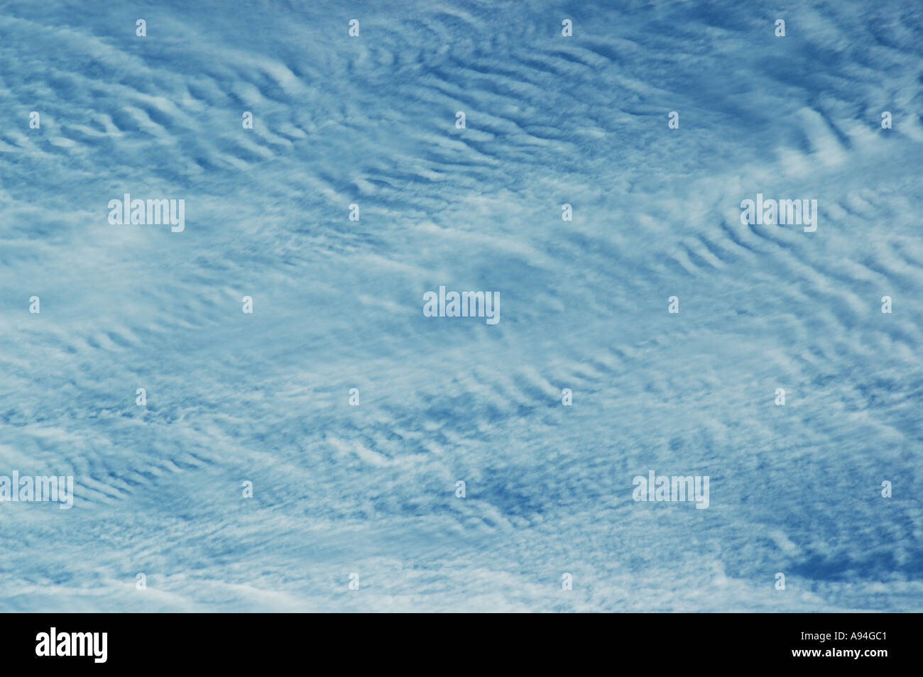 High altitude ALTOCUMULUS udulatus clouds dsca 4179 Stock Photo - Alamy