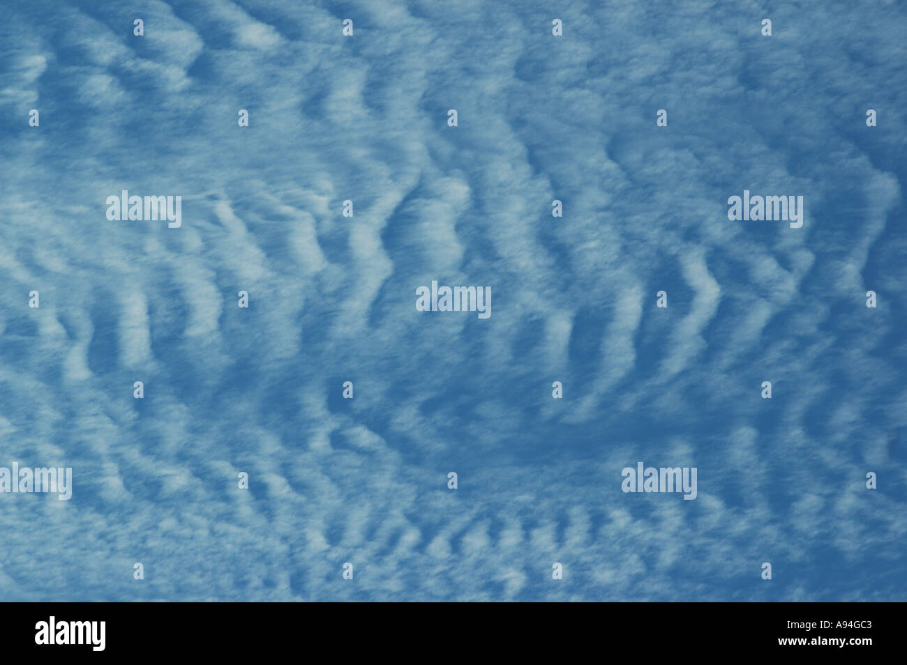 High altitude ALTOCUMULUS udulatus clouds dsca 4180 Stock Photo - Alamy