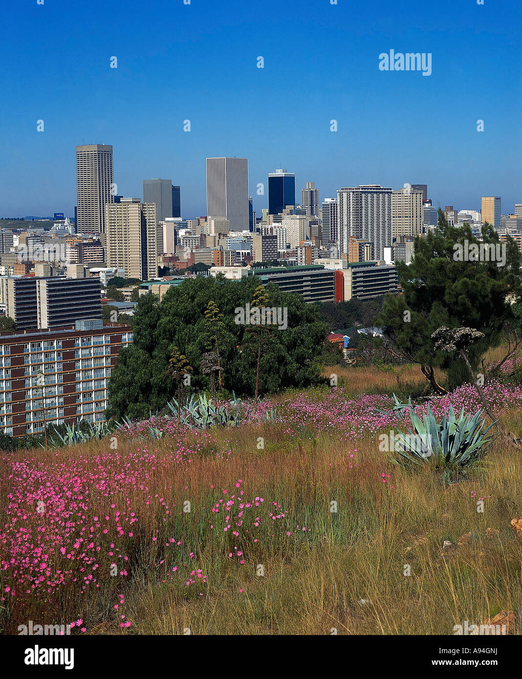 The Johannesburg city center seen from Hillbrow tallest building is the ...