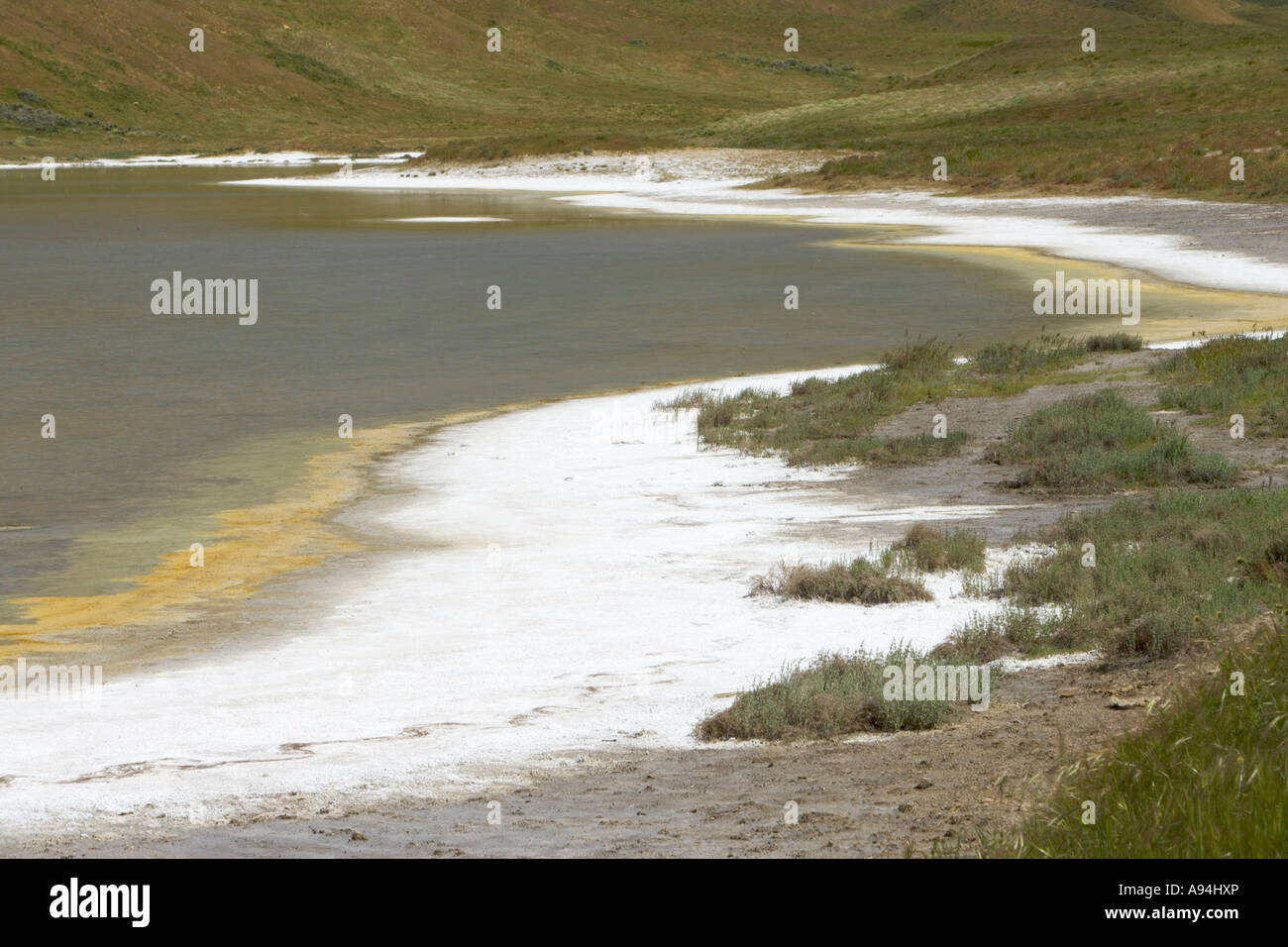 Salt encrusted basin, California Stock Photo - Alamy