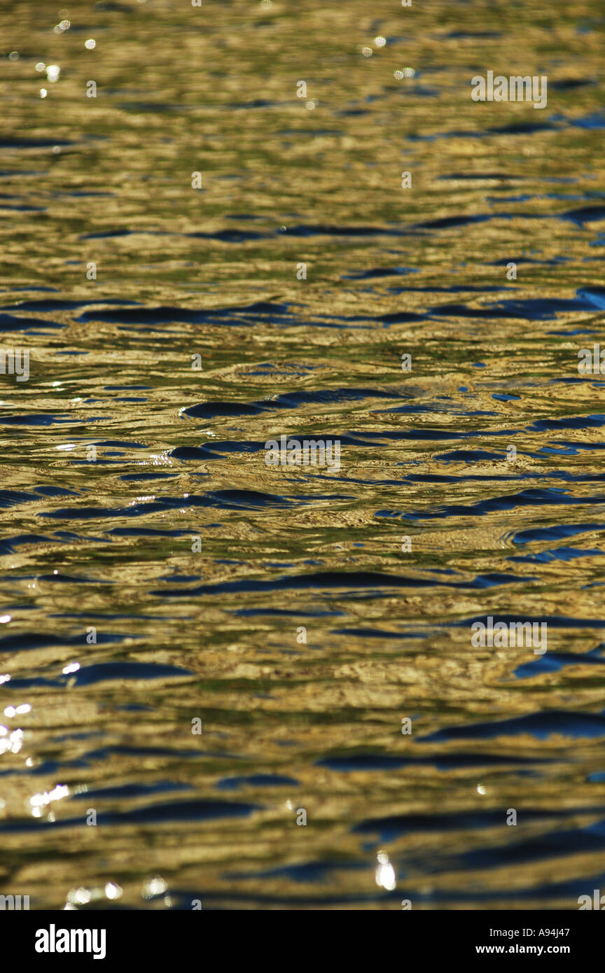 Golden sheen on water surface dsca 3796 Stock Photo - Alamy