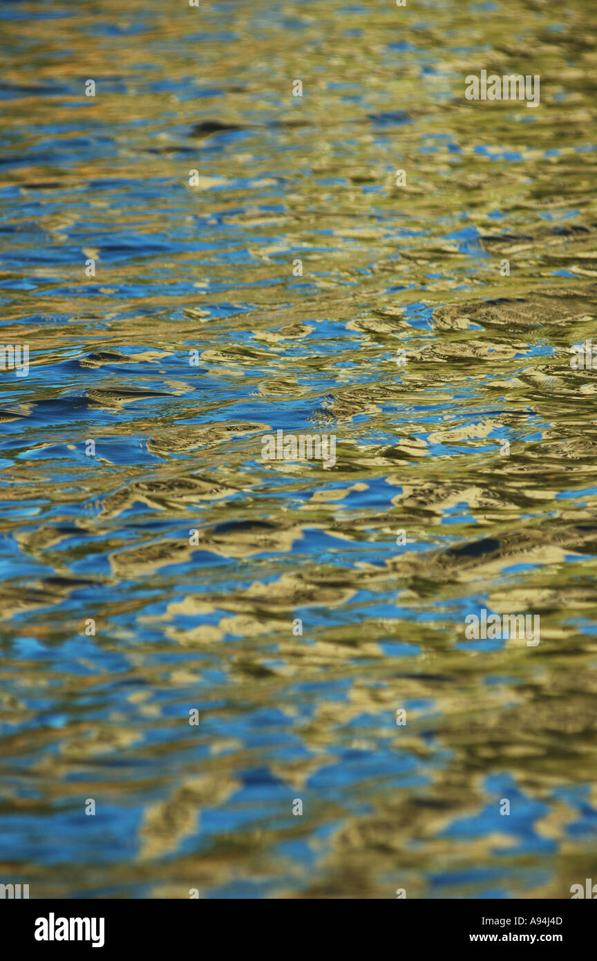 Golden sheen on water surface dsca 3798 Stock Photo - Alamy