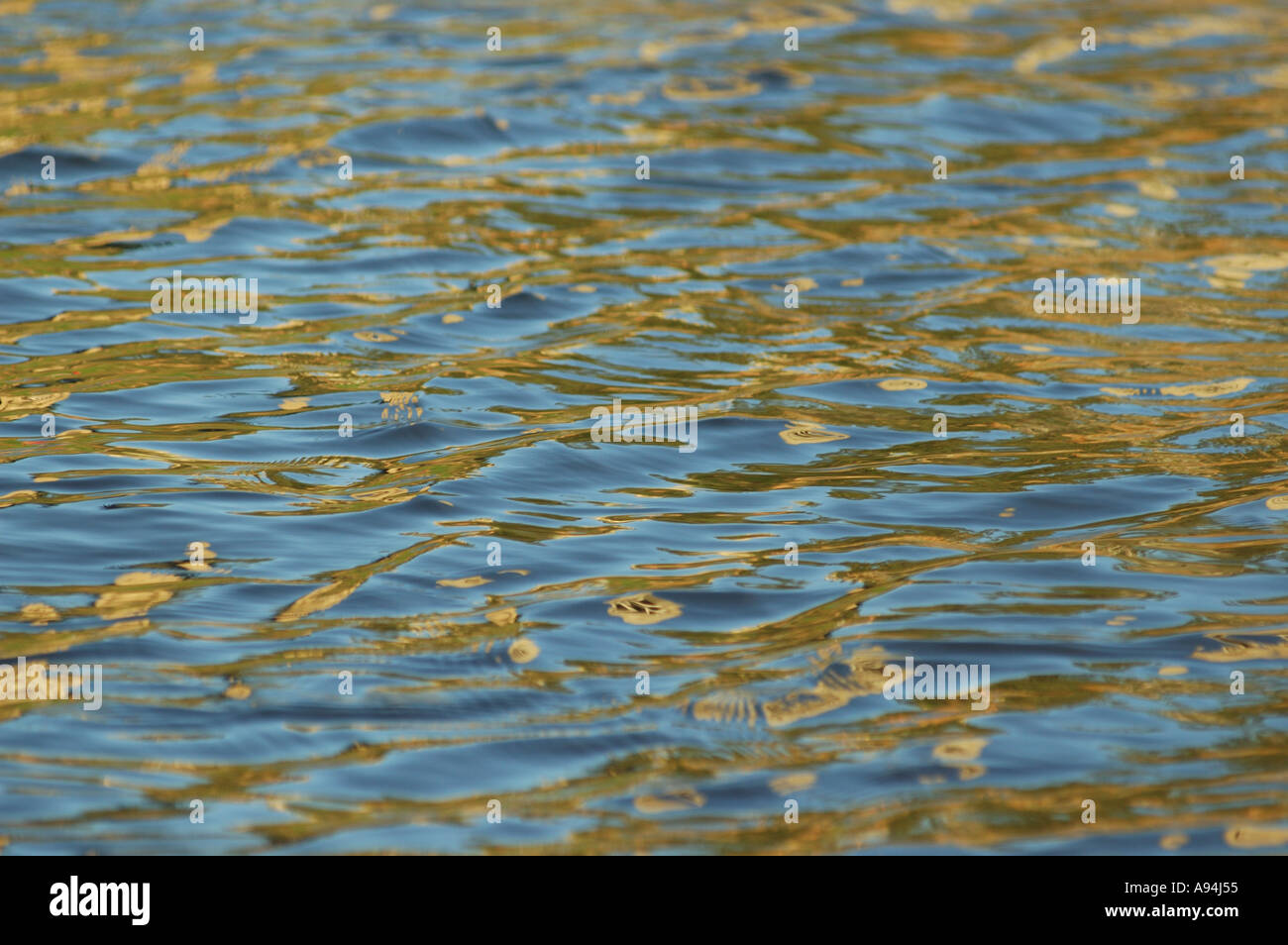 Golden sheen on water surface dsca 3800 Stock Photo - Alamy