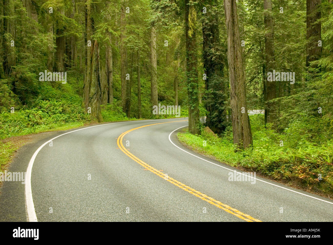 Asphalt road passing through hi-res stock photography and images - Alamy