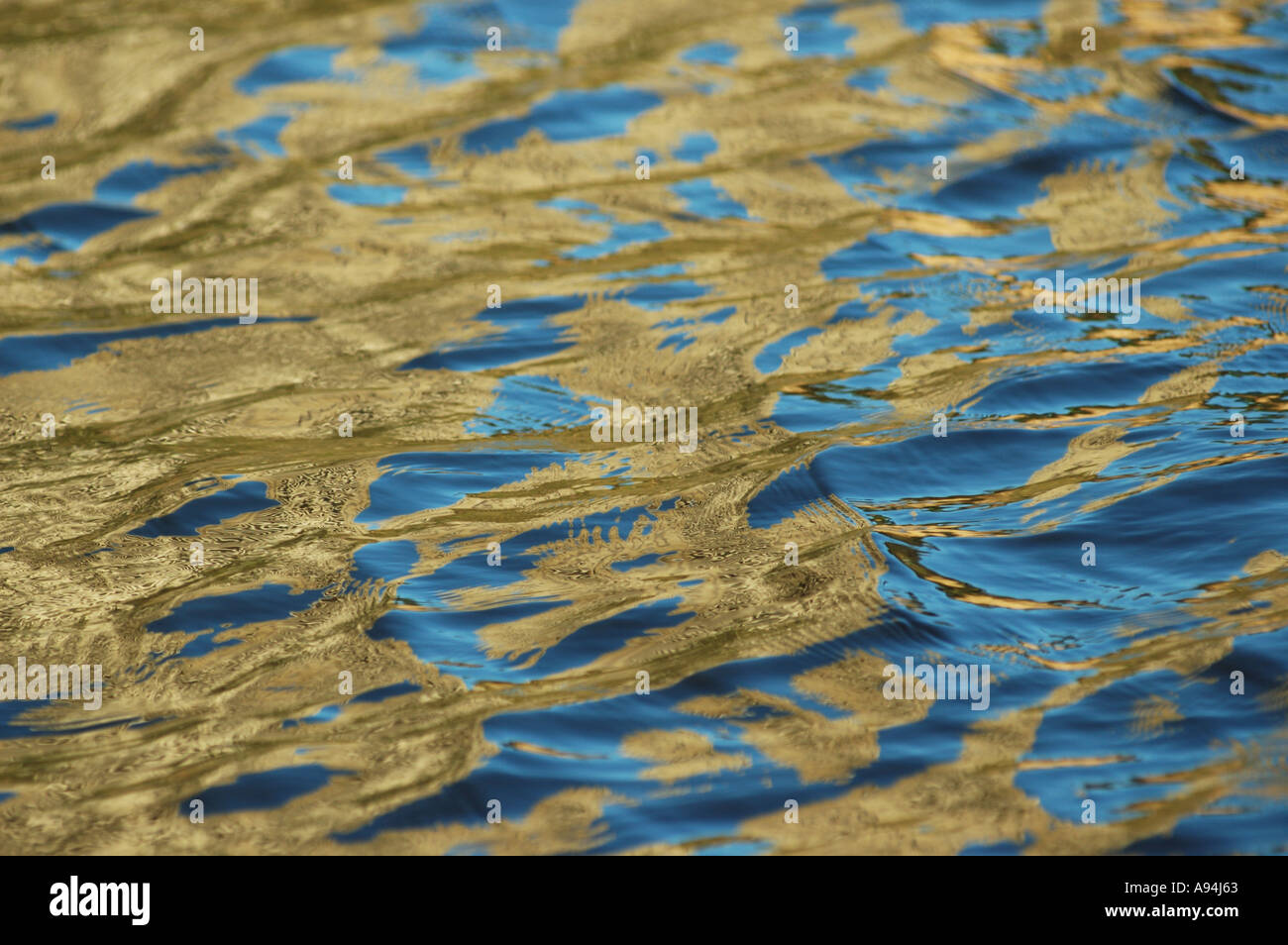 blue gold sheen on water dsca 3804 Stock Photo - Alamy