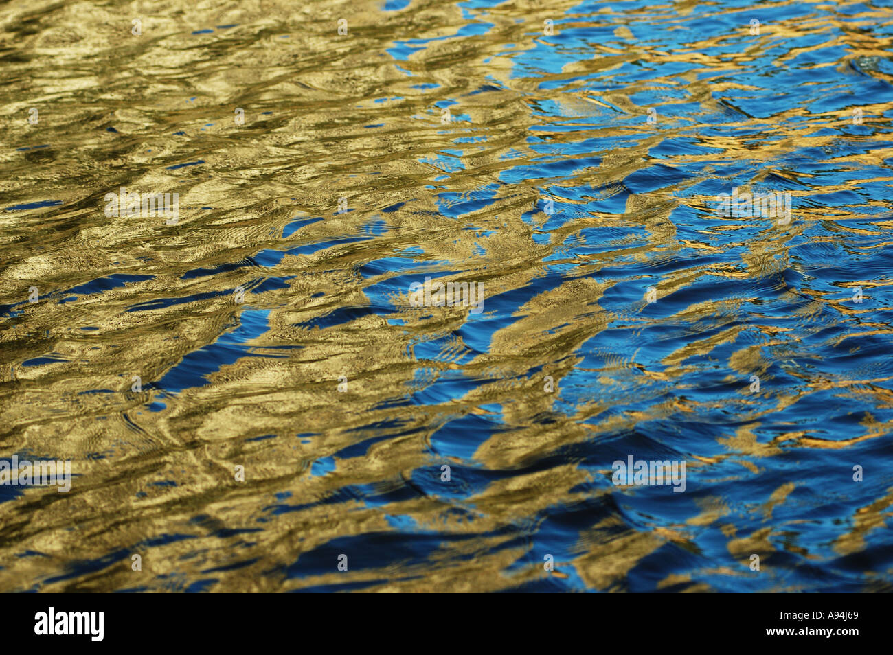 blue gold sheen on water dsca 3806 Stock Photo - Alamy