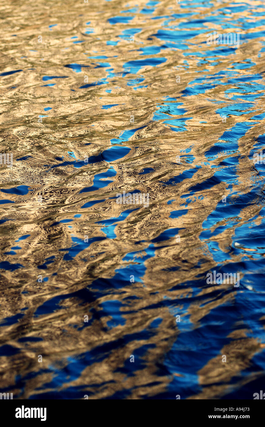 Silver blue sheen hi-res stock photography and images - Alamy