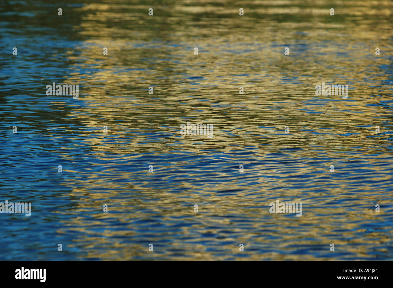 gold blue sheen on water surface dsca 3828 Stock Photo - Alamy